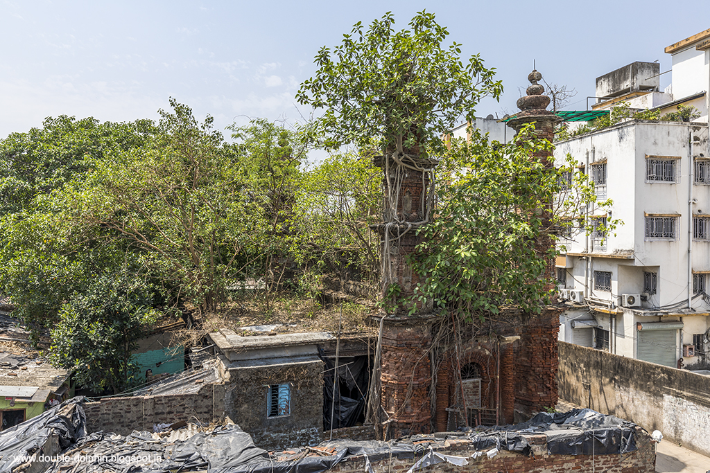 The Concrete Paparazzi: The Abandoned Mosque of Beliaghata