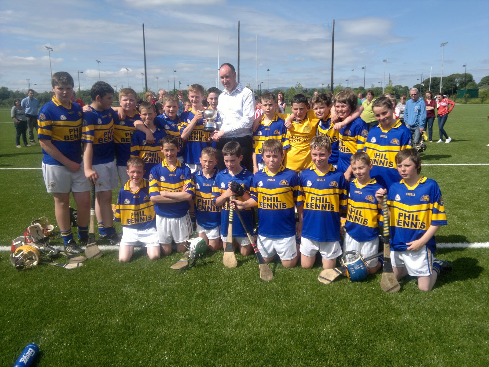 Patrickswell N.S. Online: June 2013