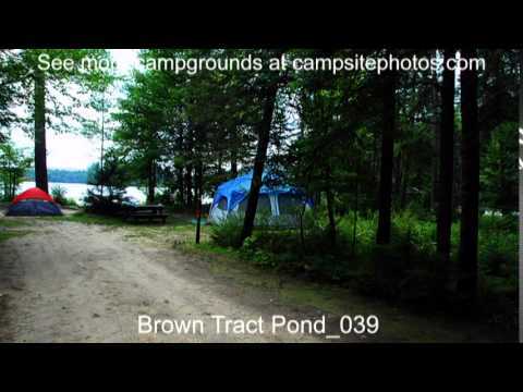 Brown Tract Pond Campground