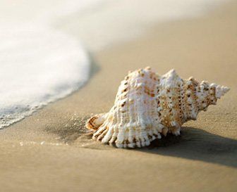 DESDE LA ORILLA: LA CARACOLA DEL TIEMPO