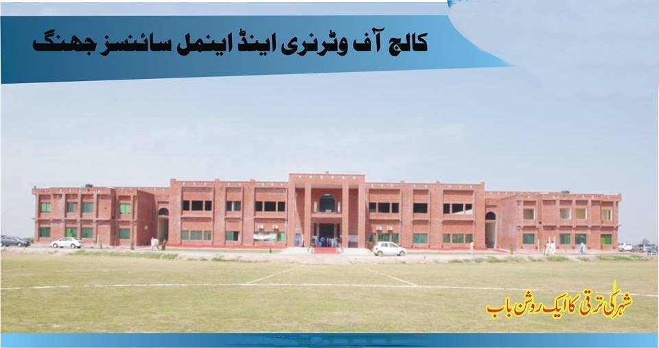 Jhang Sadar Pictures ~ Jhang Sadar