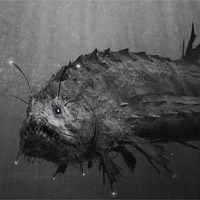 Doctor Who RPG: Series 10