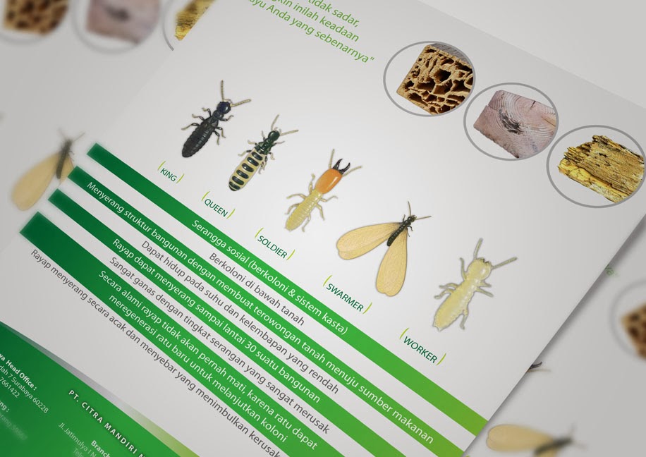 febby febrian: Arima Pest Control Brochure