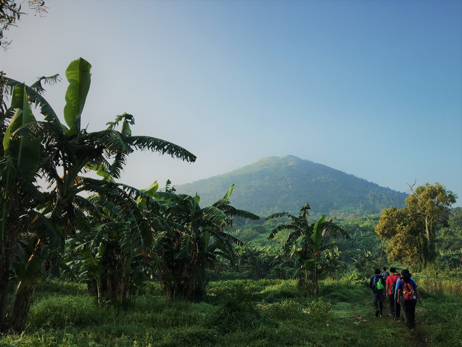 Beginner Friendly Hike : Mt. Kalisungan