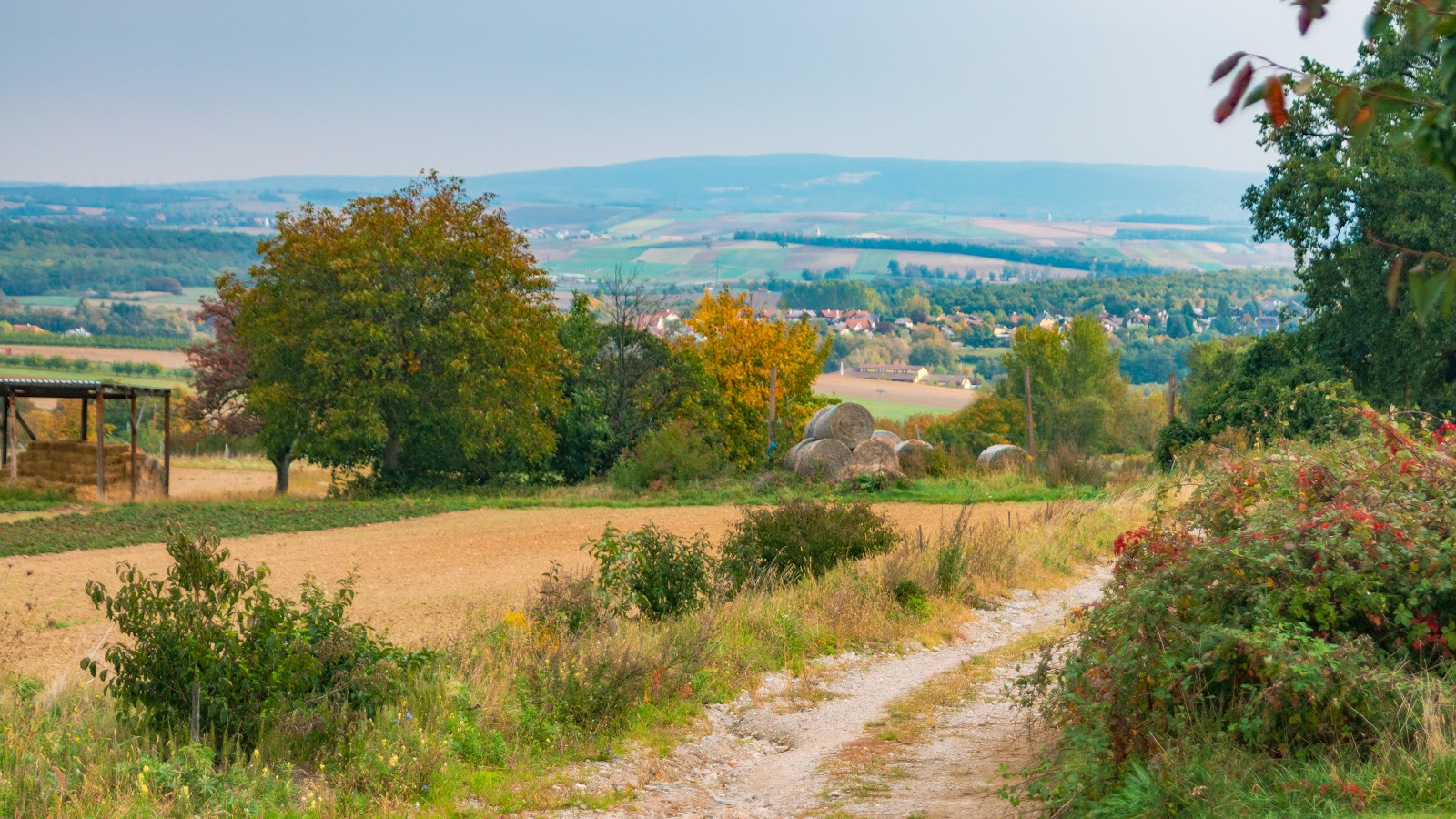 #513: Bad Sauerbrunn bis Mattersburg