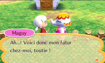 Animal Crossing New Leaf : Events & Happy Home Designers: ACHHD : Défi ...
