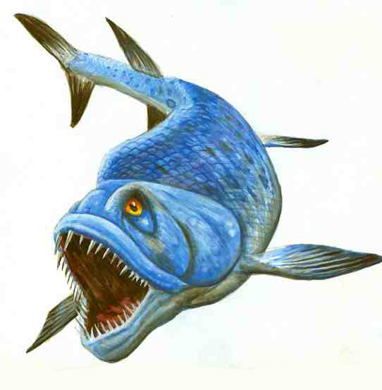 Xiphactinus Wikipedia