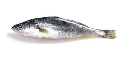 S.O.S. NOIVAS NA COZINHA: PEIXES