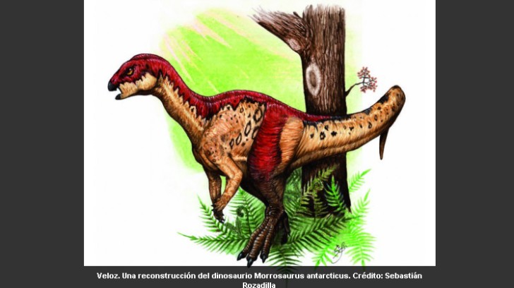 Fundacion Dinosaurios Cyl: Hallan un dinosaurio que vivió en la ...