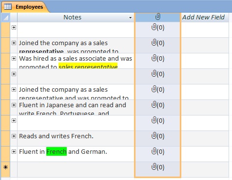 Attachment Field in Access2007 ~ LEARN MS-ACCESS TIPS AND TRICKS