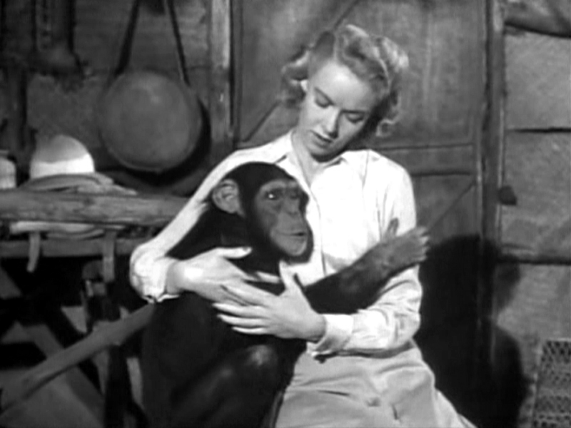 The Forbidden Land [1952] movie online - gamingfreeware