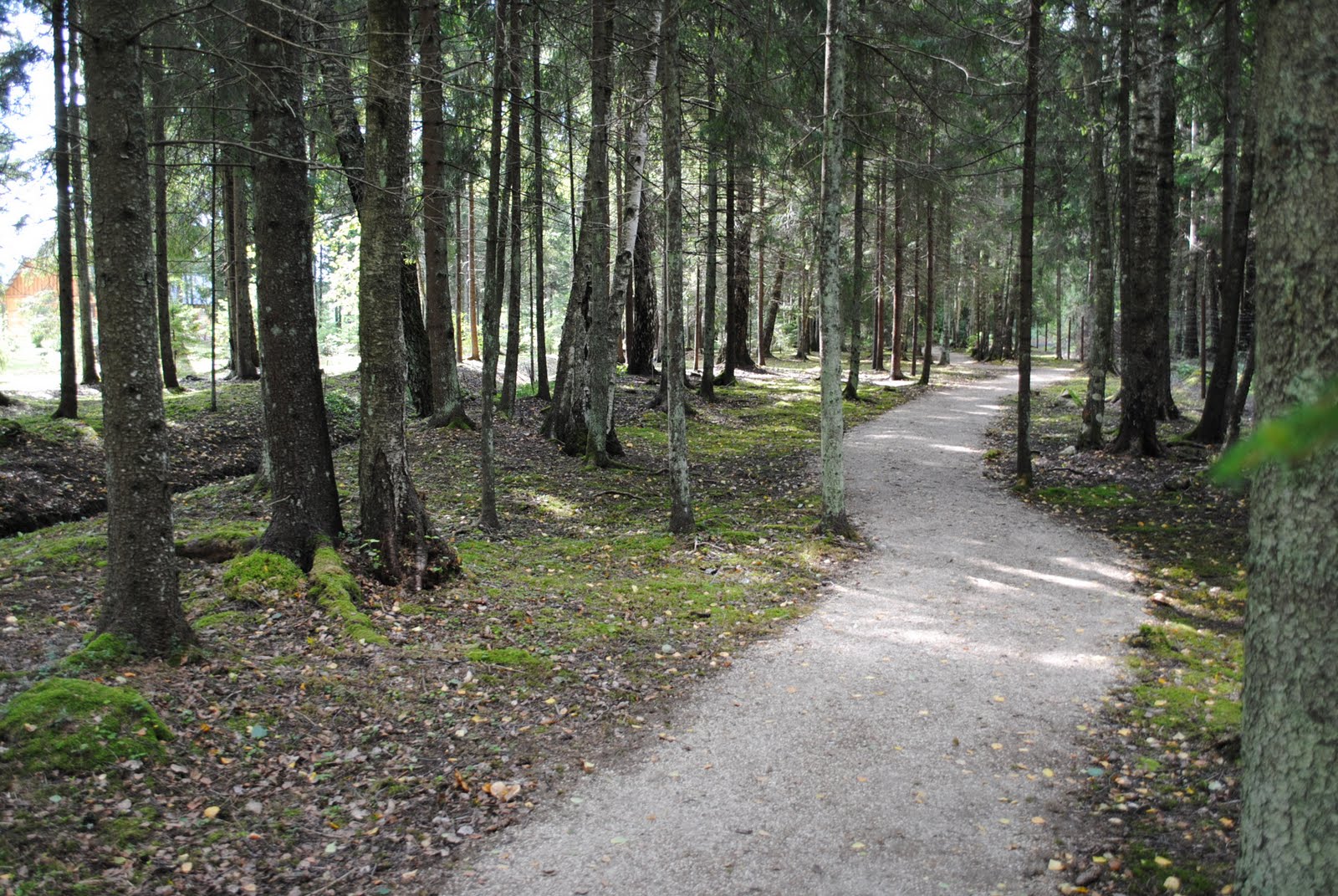 AnneAed: NURGA PUUKOOL