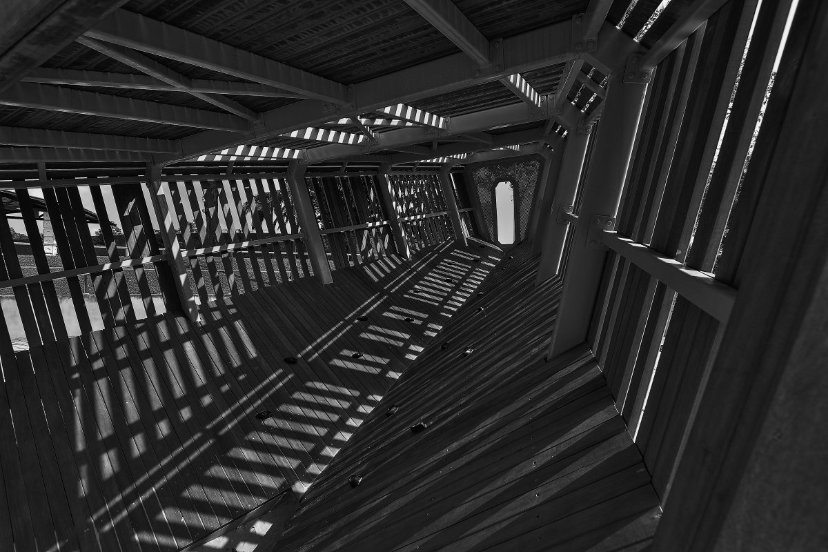 Photography: Exploration of Human Form and Architectural structure