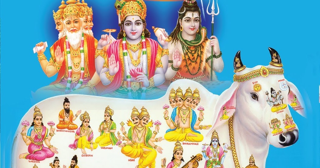 Bhakti Books | Telugu Books | kathalu | Mohan Publications | FREE pdf ...
