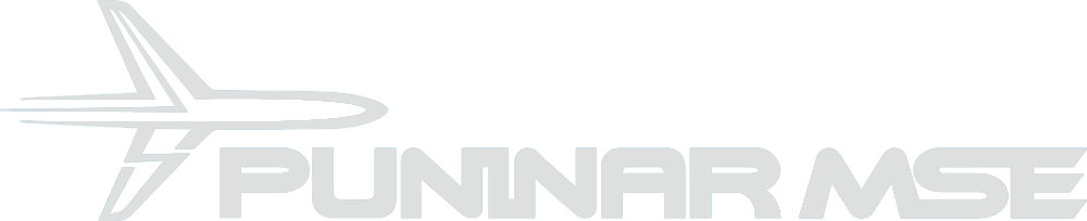 Company Overview - Puninar MSE Indonesia