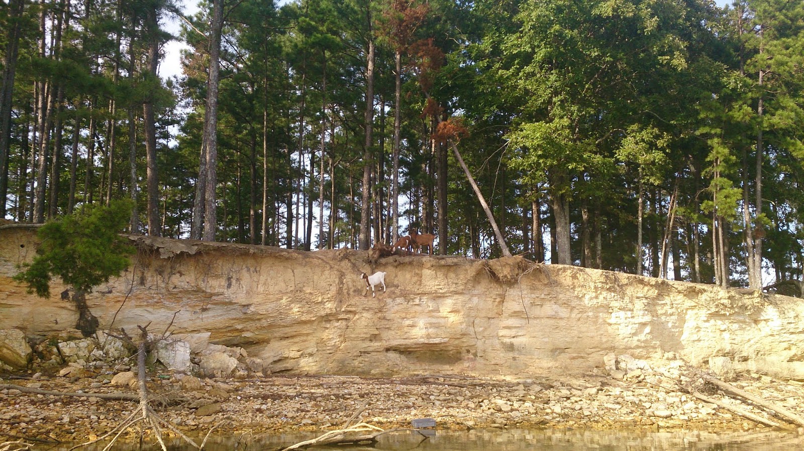 Tennessee-Tombigbee Waterway (aka:Tenn-Tom)