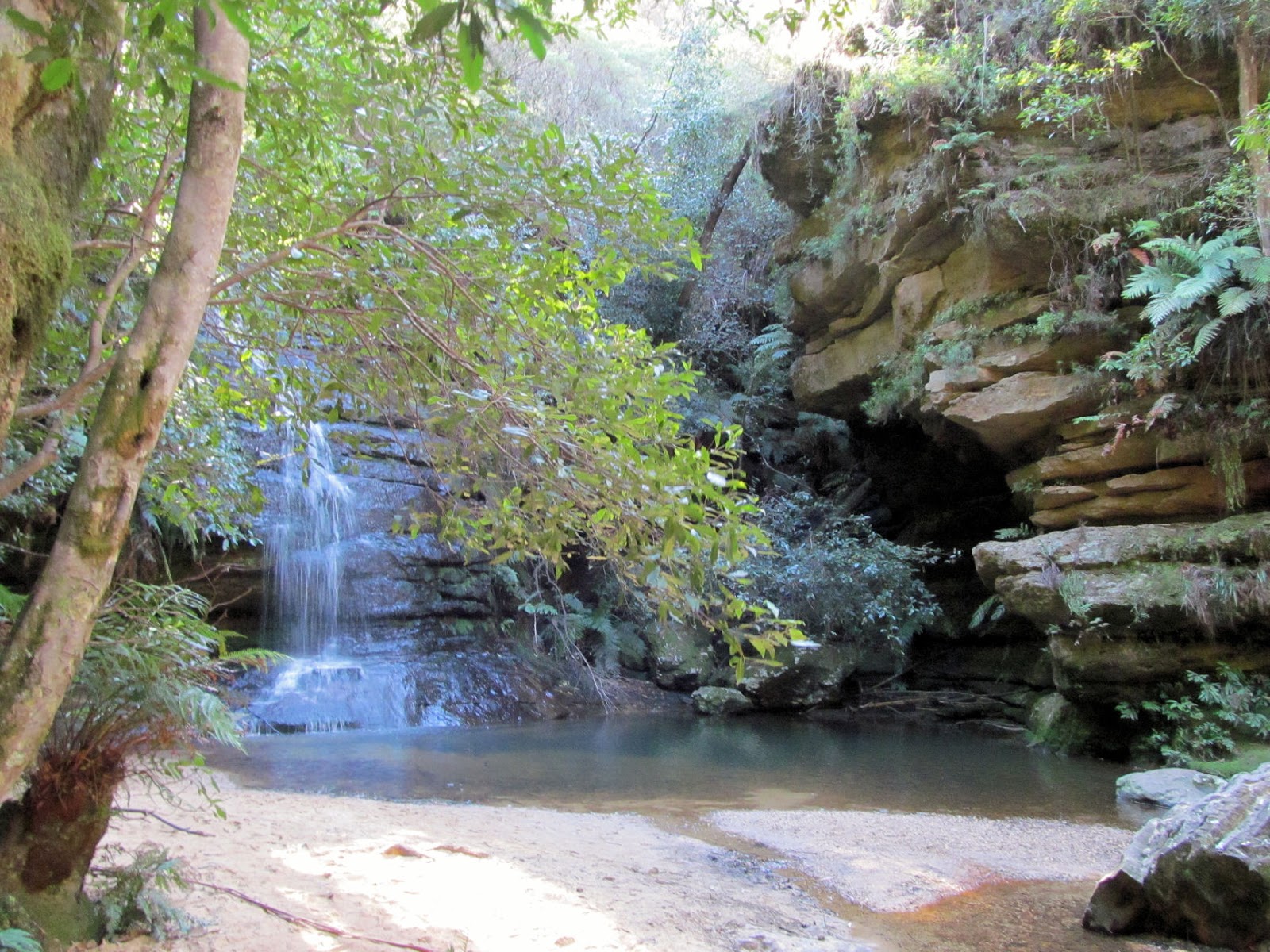 Pool of Siloam - Leura | Our Walks
