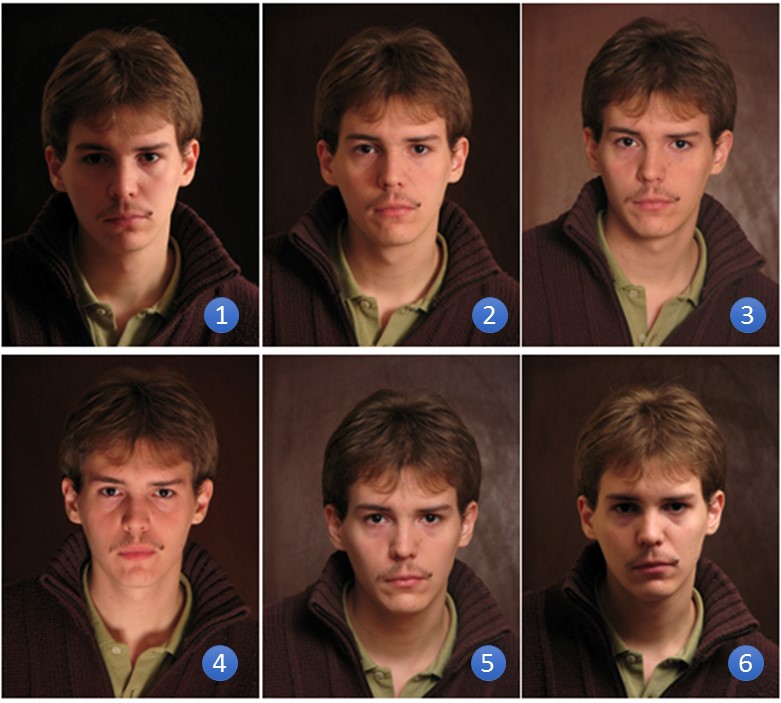 La luz ( la dirección) ~ Un Diario Fotográfico