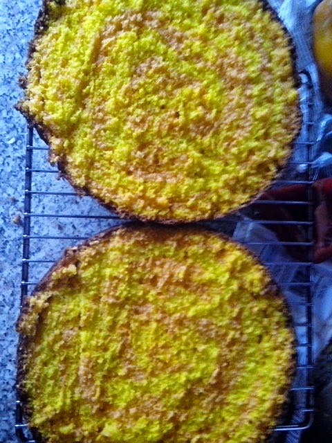 The life of a womble is never done : My sisters 40th birthday cake made ...