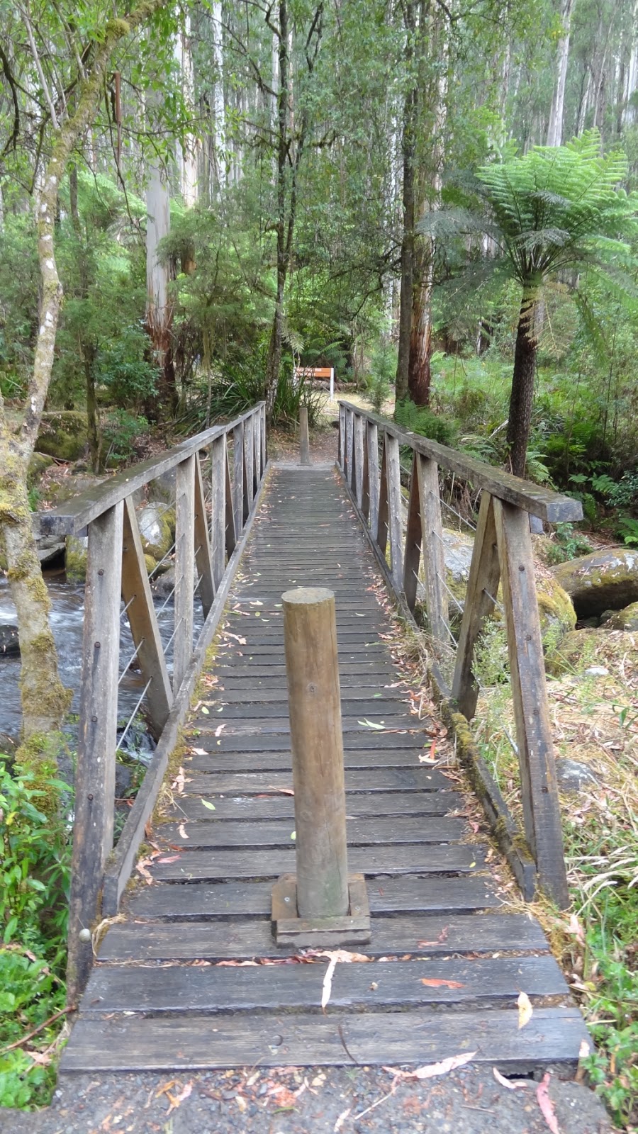 Back To Nature:: Toorongo Falls - Baw Baw NP - VIC