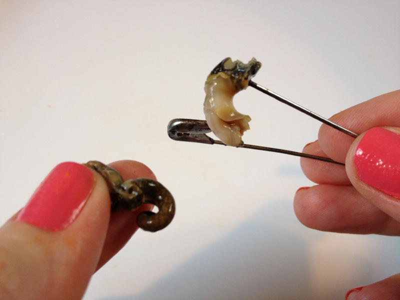 Free From G.: How To Prepare Winkles