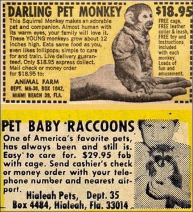 13 Wildly Irresponsible Vintage Ads Aimed at Kids We Will Never, Ever ...