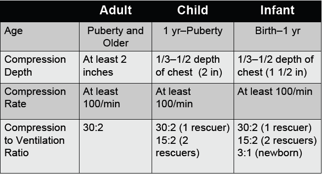 World's Greatest EMT Study Guide