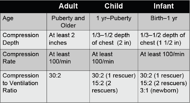World's Greatest EMT Study Guide
