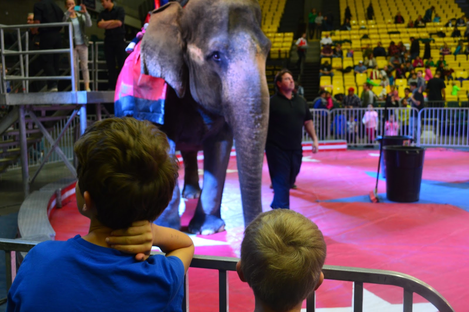 A Local Wander: The Makings Of A Great Circus