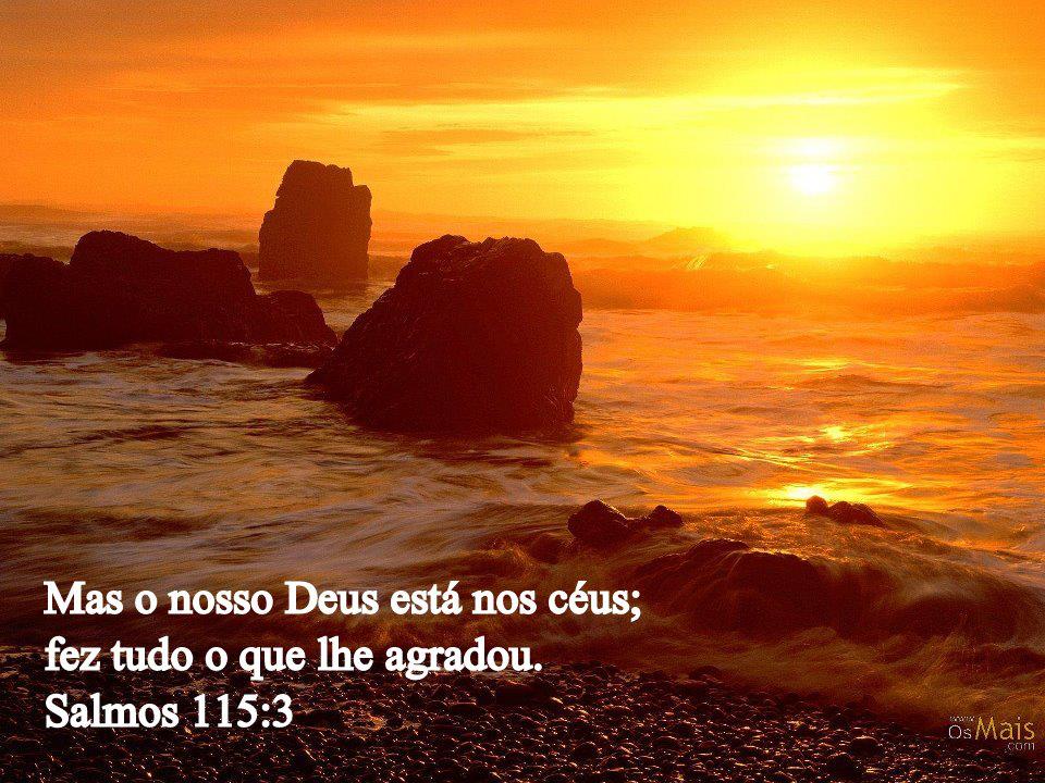 A fim de Deus: Salmos 115