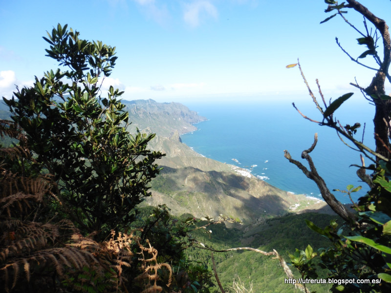 Utreruta - El blog de Jesús : EL BOSQUE ENCANTADO EN ANAGA TENERIFE