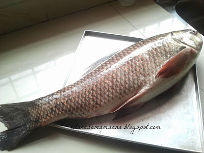 .: IKAN ROHU GORENG BERCILI