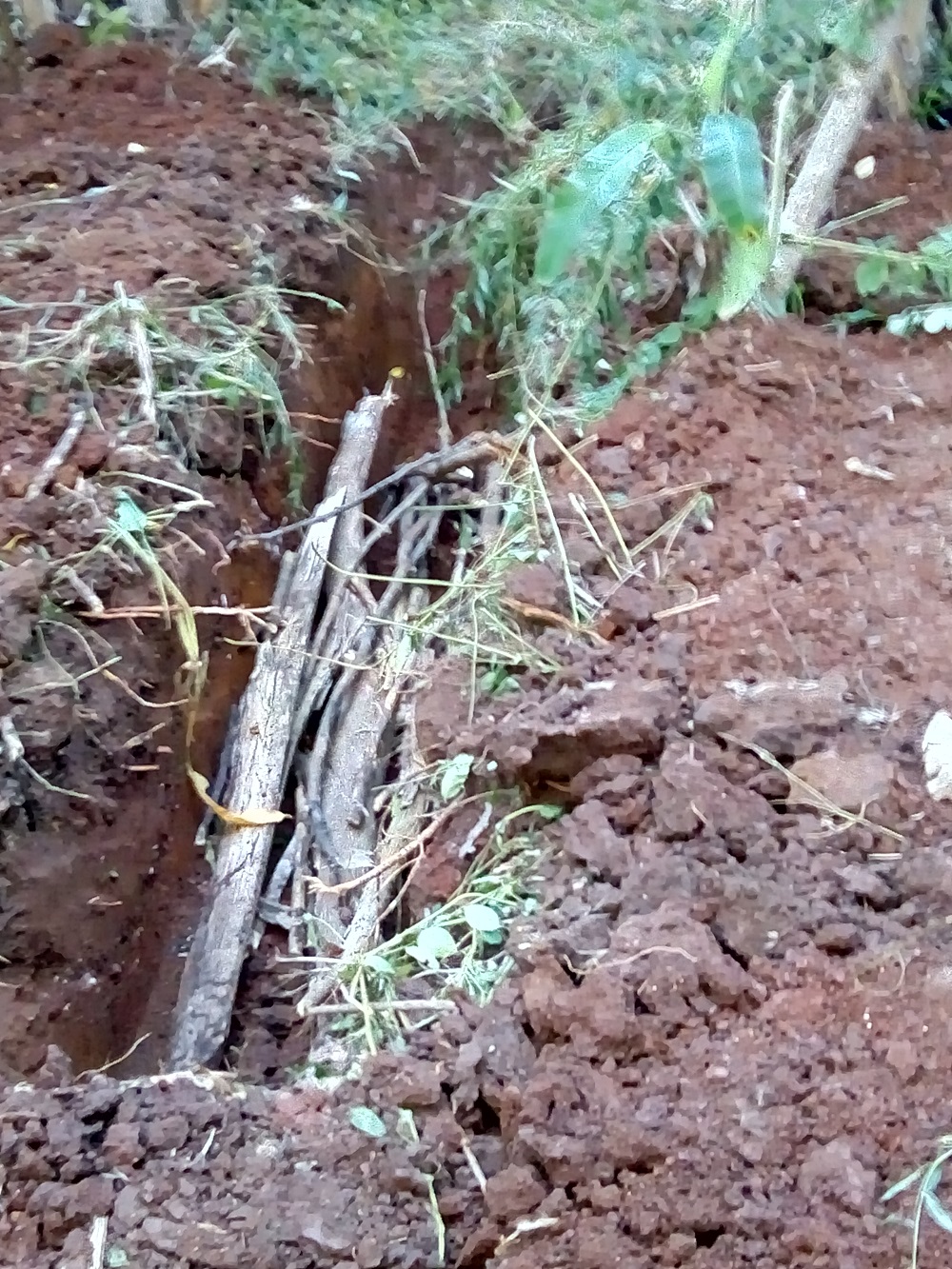 My Experiments With Farming: Making trenches in farm