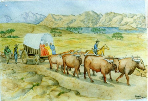 Freddie Botha Art Gallery Blog