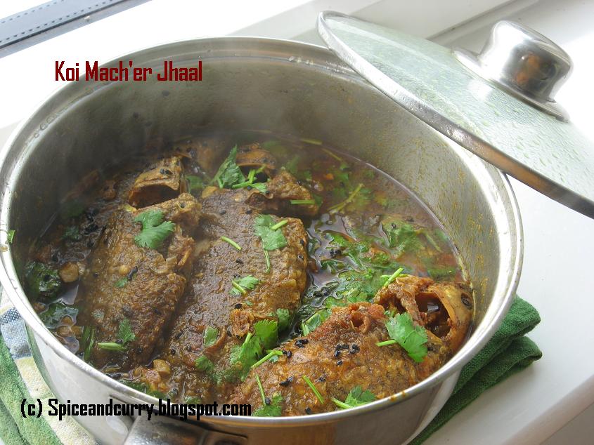 Spice and Curry: Koi Mach'er Jhaal