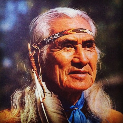 RealPrimalConnection: My Heart Soars..