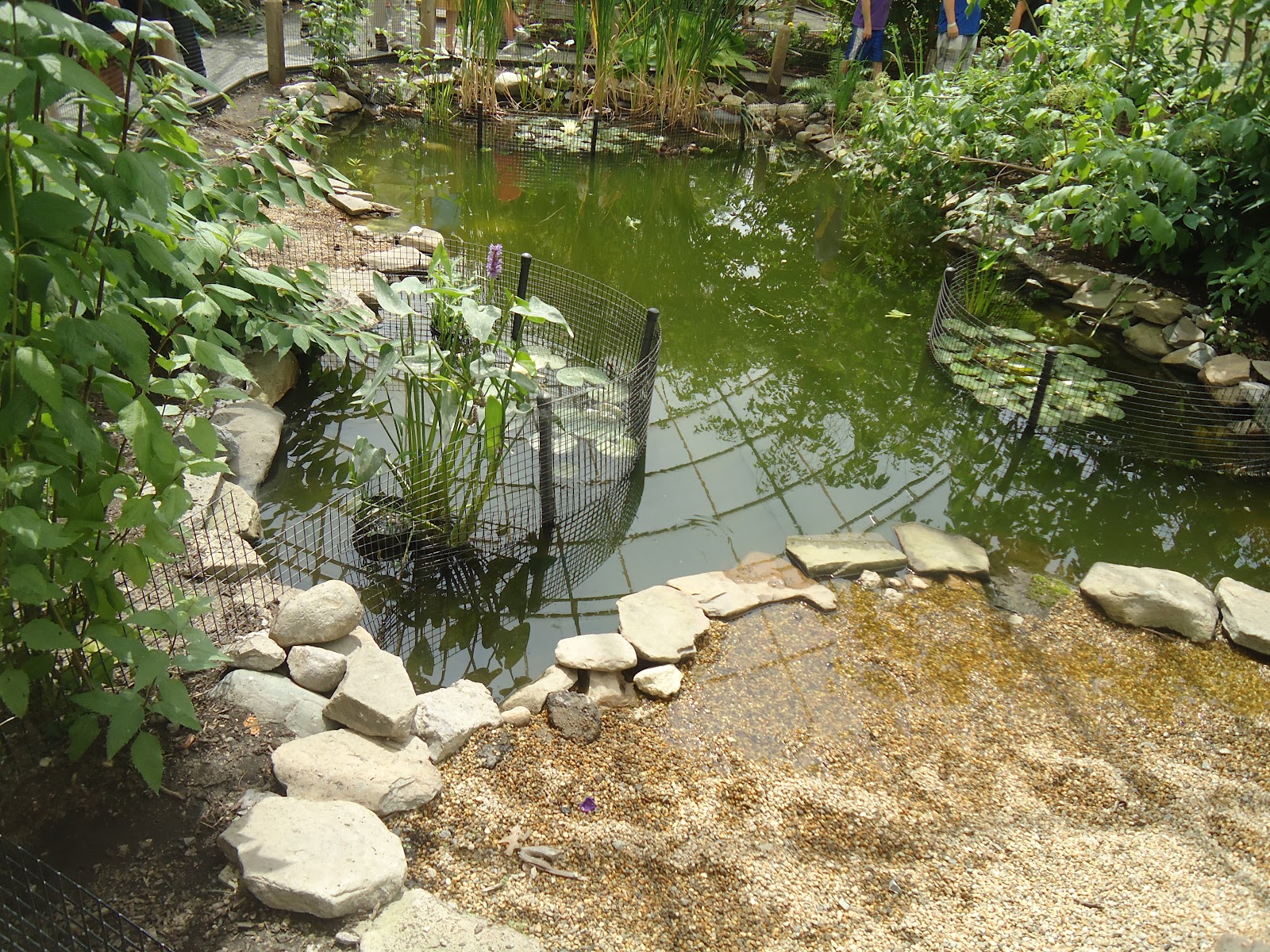 WHS AP Bio 2012: Chen: Different Biomes