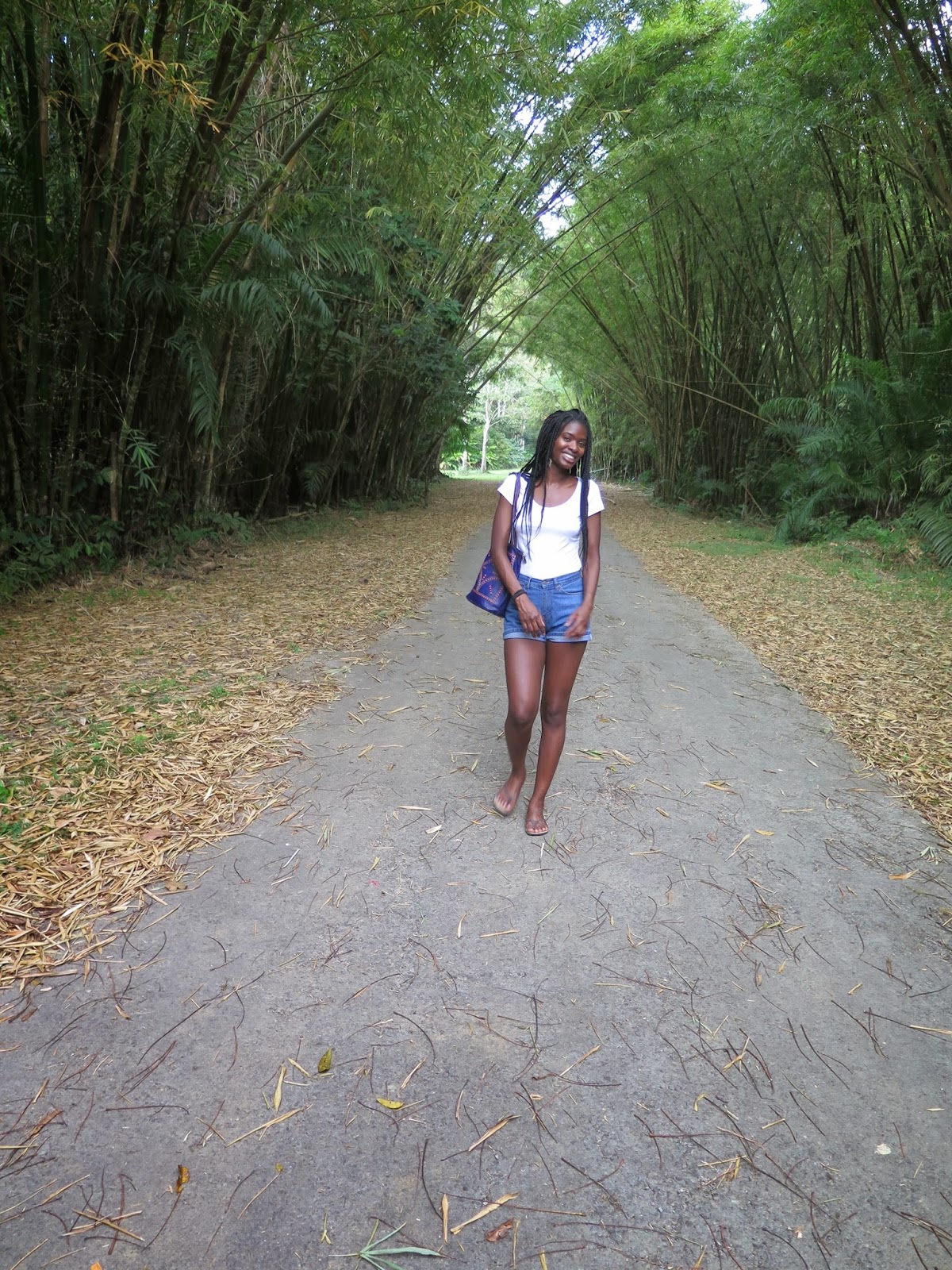 Bamboo Cathedral, Trinidad