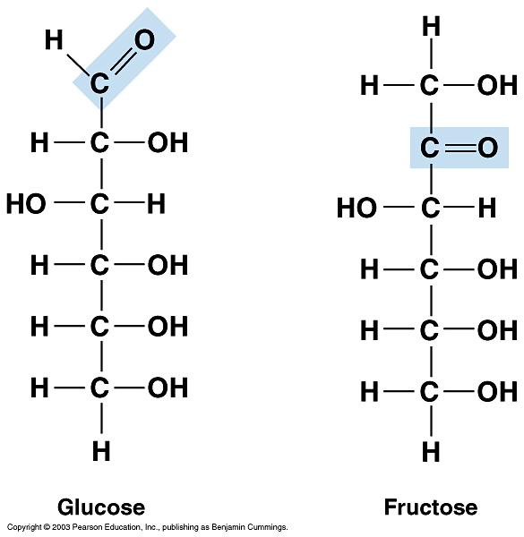 World of Biochemistry (blog about biochemistry): Carbohydrates (general ...