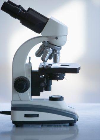 El Microscopio Imágenes - DESCRIBID