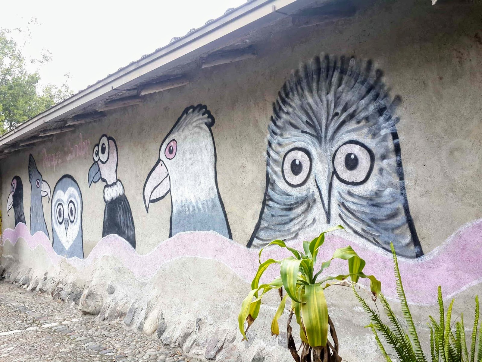 PARQUE CÓNDOR - OTAVALO - ECUADOR