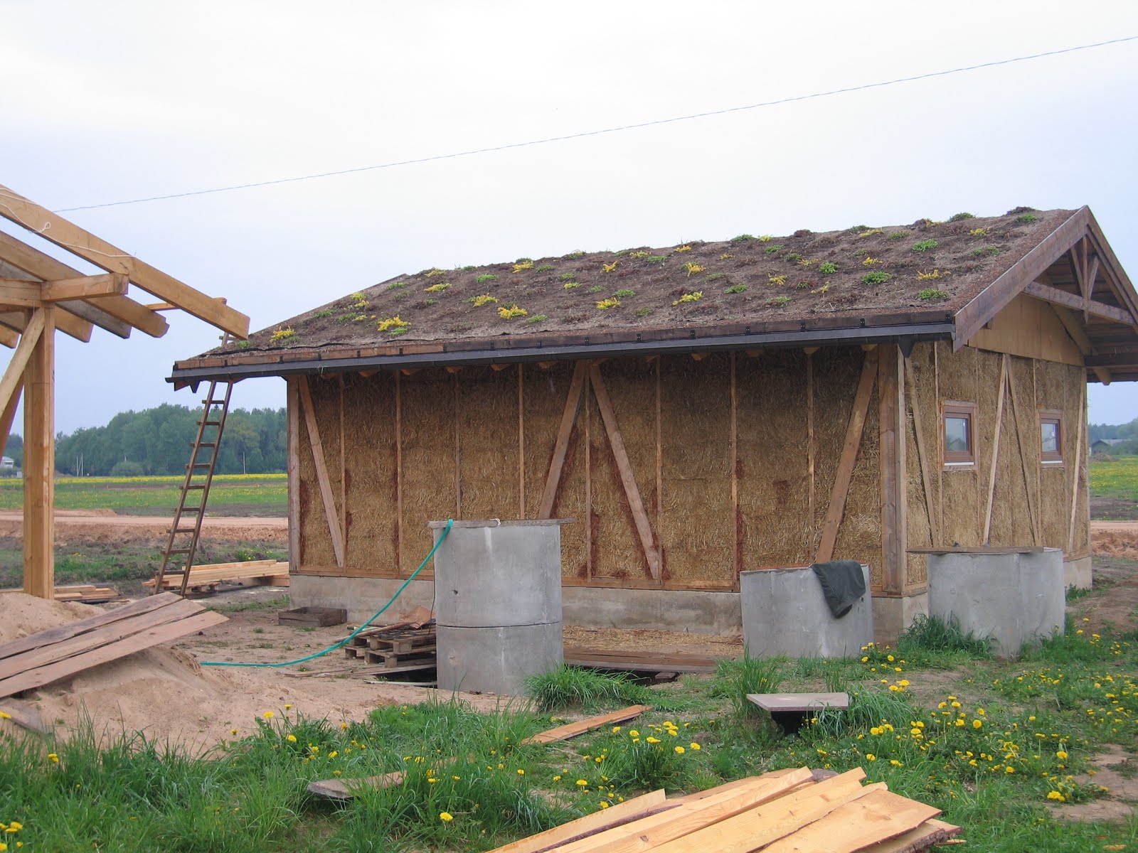 Mano namas: Zalias stogas