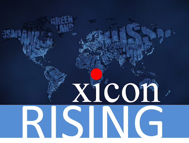 Xicon I Engineering Economics