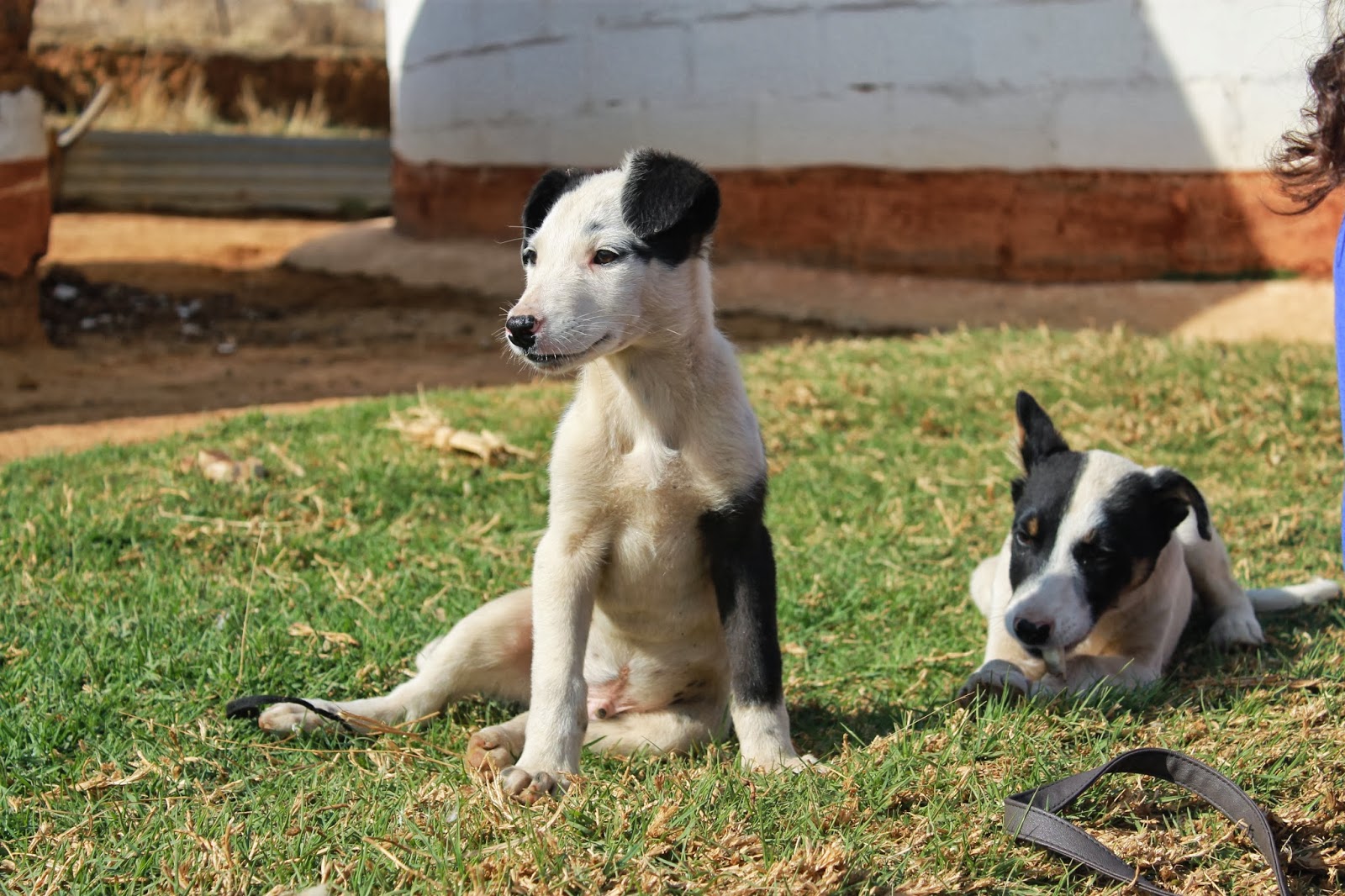 My Journey: Healthcare & International Travel: Impendle: Description ...