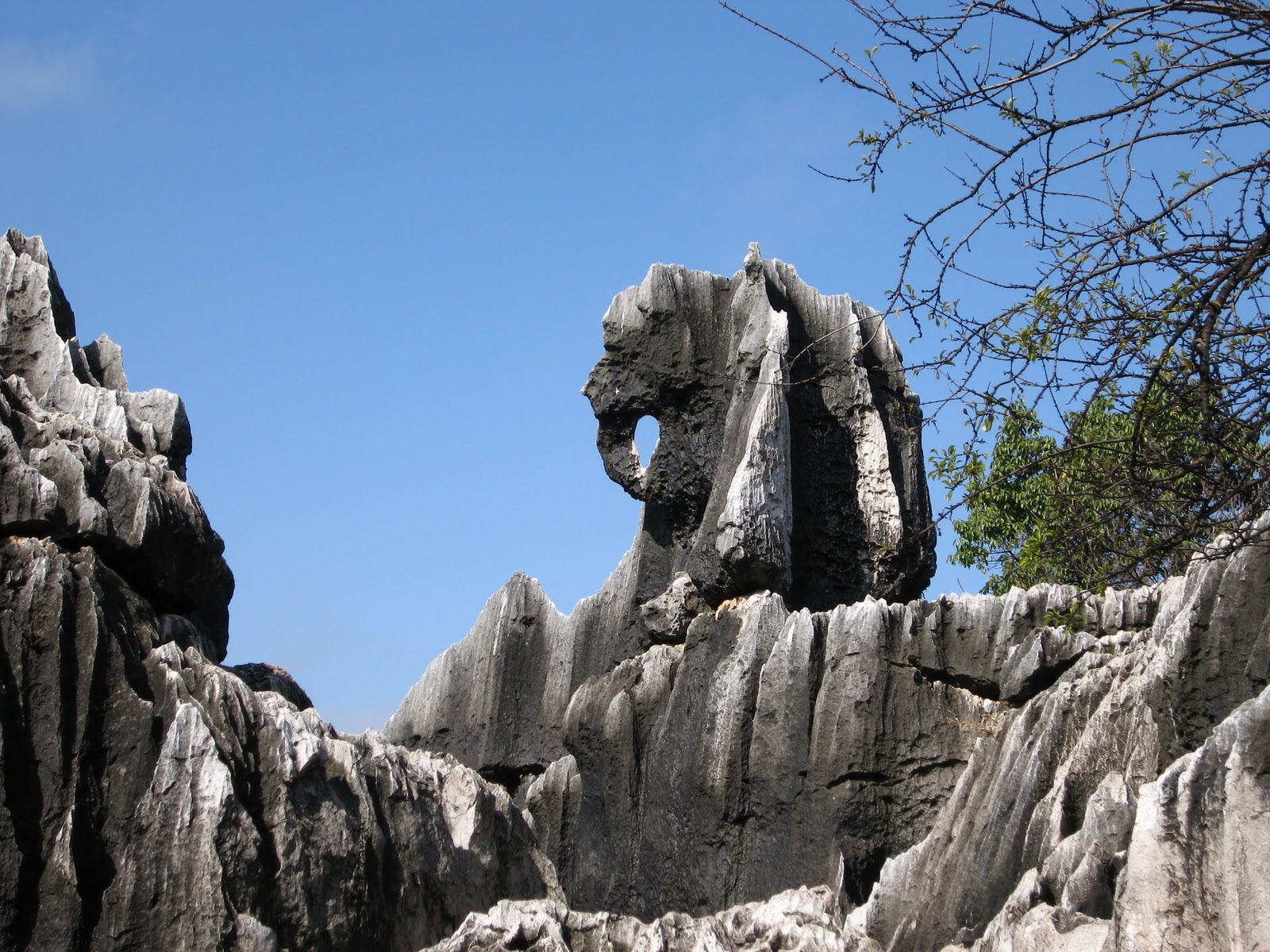 Stone Forest, Yunnan, China