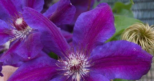 Ancient and Modern: Embroidery in the style of Richard Box