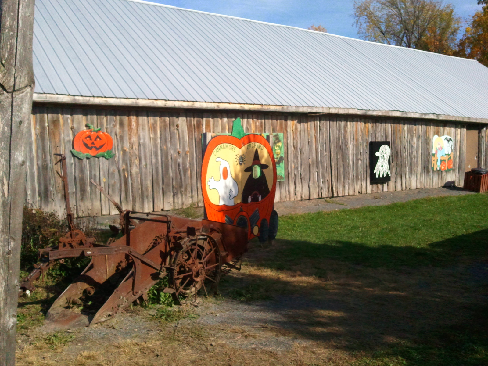 sparklingexpressions: Beautiful day at Cannamore Orchard