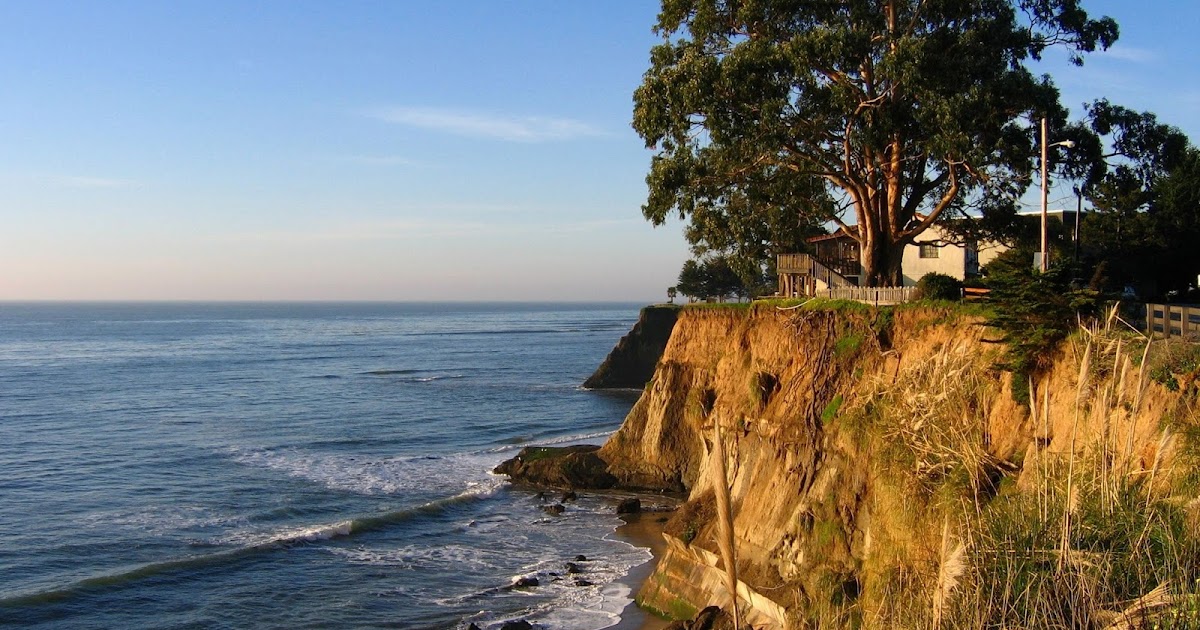 Forestdweller: Opal Cliffs