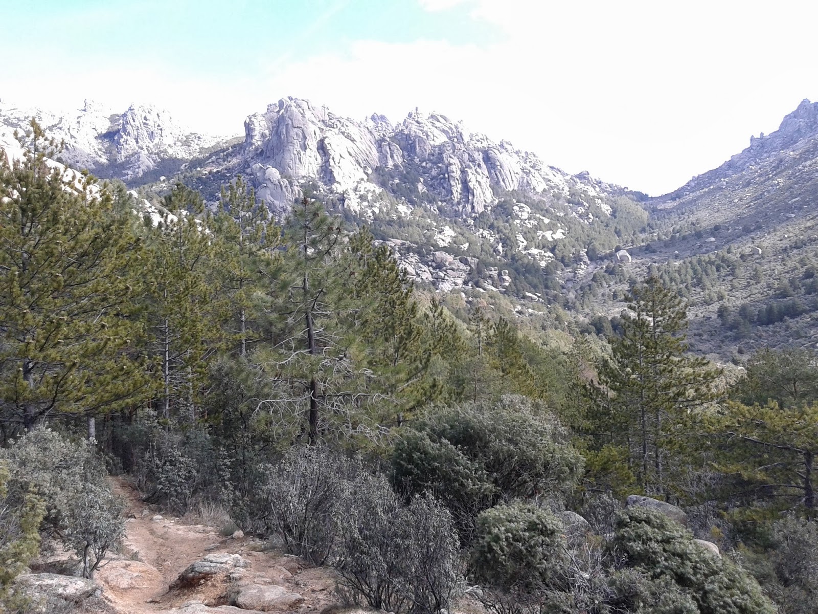 PequeRutas y Educación Ambiental: LA PEDRIZA. CHOZO KINDELAN Y CHARCA VERDE