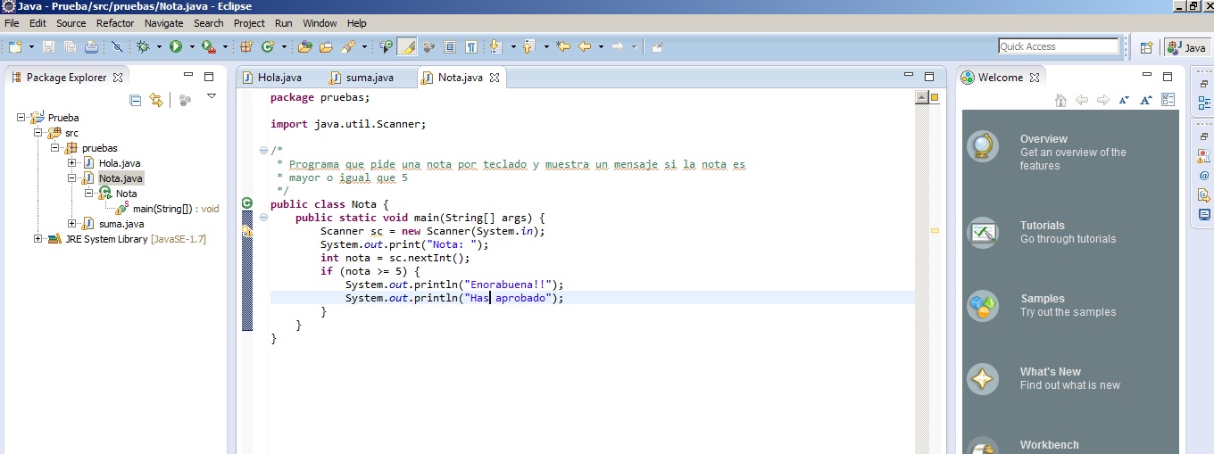 Java: Estructuras de Control